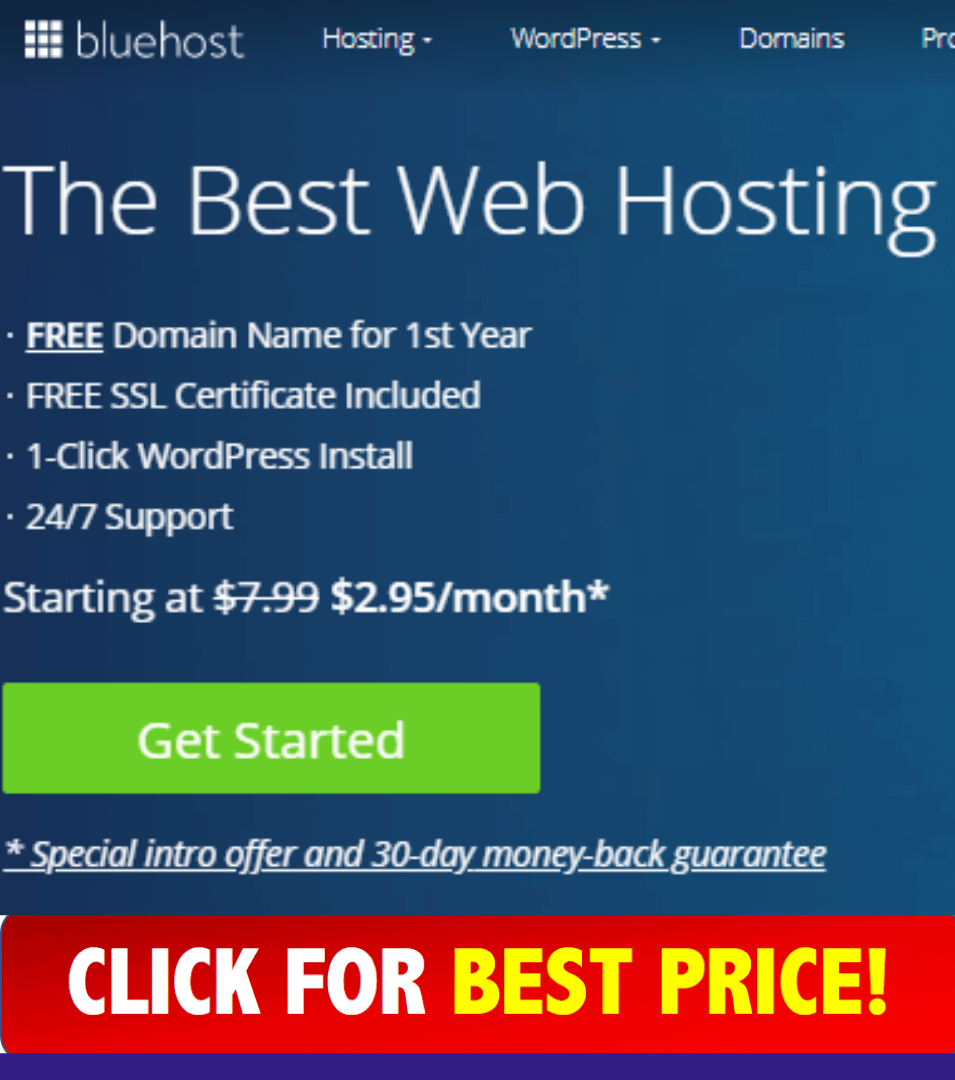 Bluehost Wordpress Hosting Reviews: Best Web Host For Websites 2019